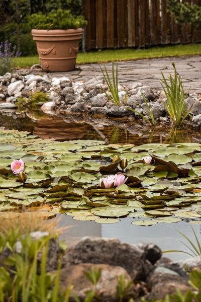 Bassin de jardin : les critères à considérer avant de l'installer.